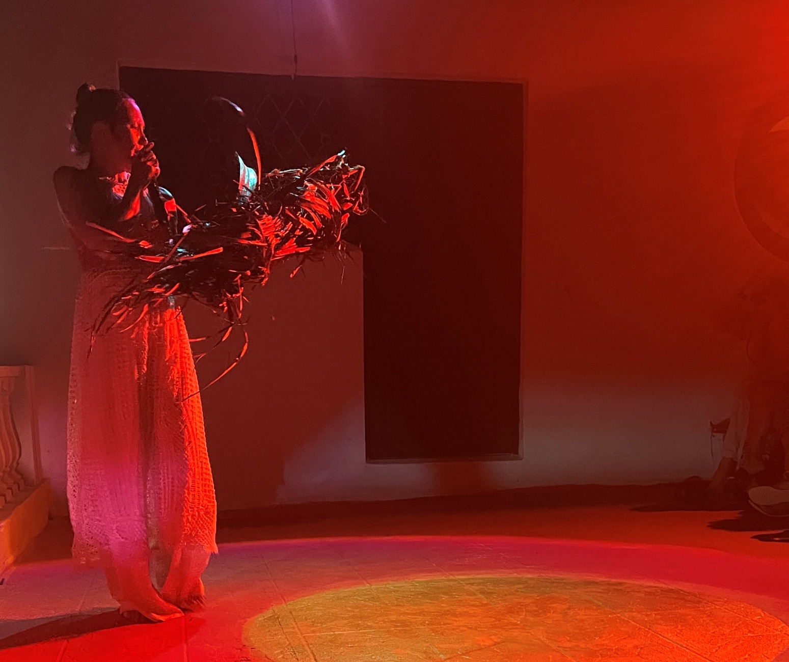 Artista local Natusha Croes a anuncia su debut musical cu e lansamento ...