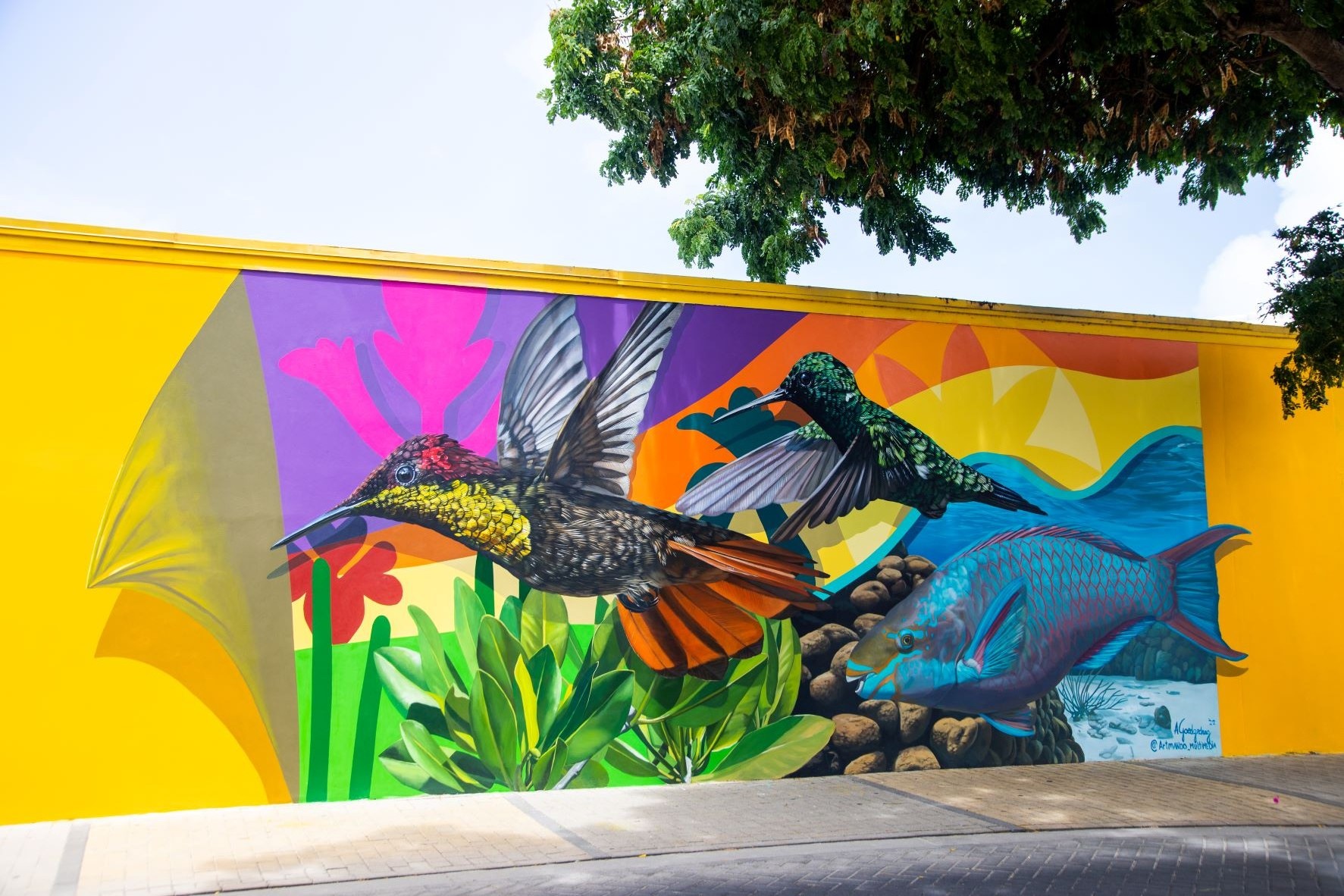 Aruba Tourism Authority a comisiona Armando pa crea mural nobo