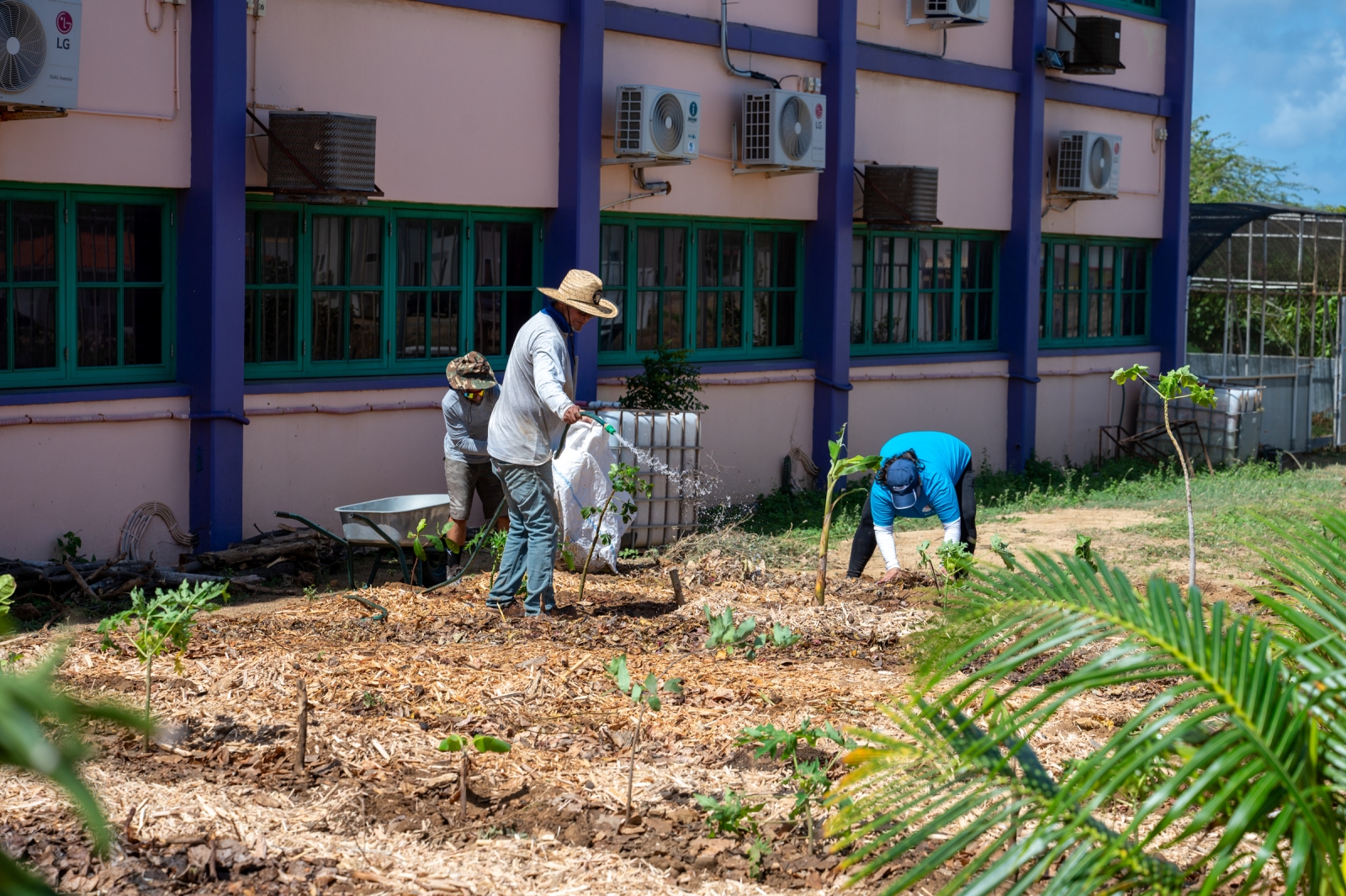 Colegio Conrado Coronel ta Inaugura su Hardin di Alimentacion cu exito