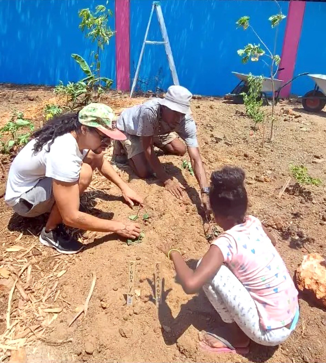 Colegio Hilario Angela tambe a haya su hardin di alimentacion