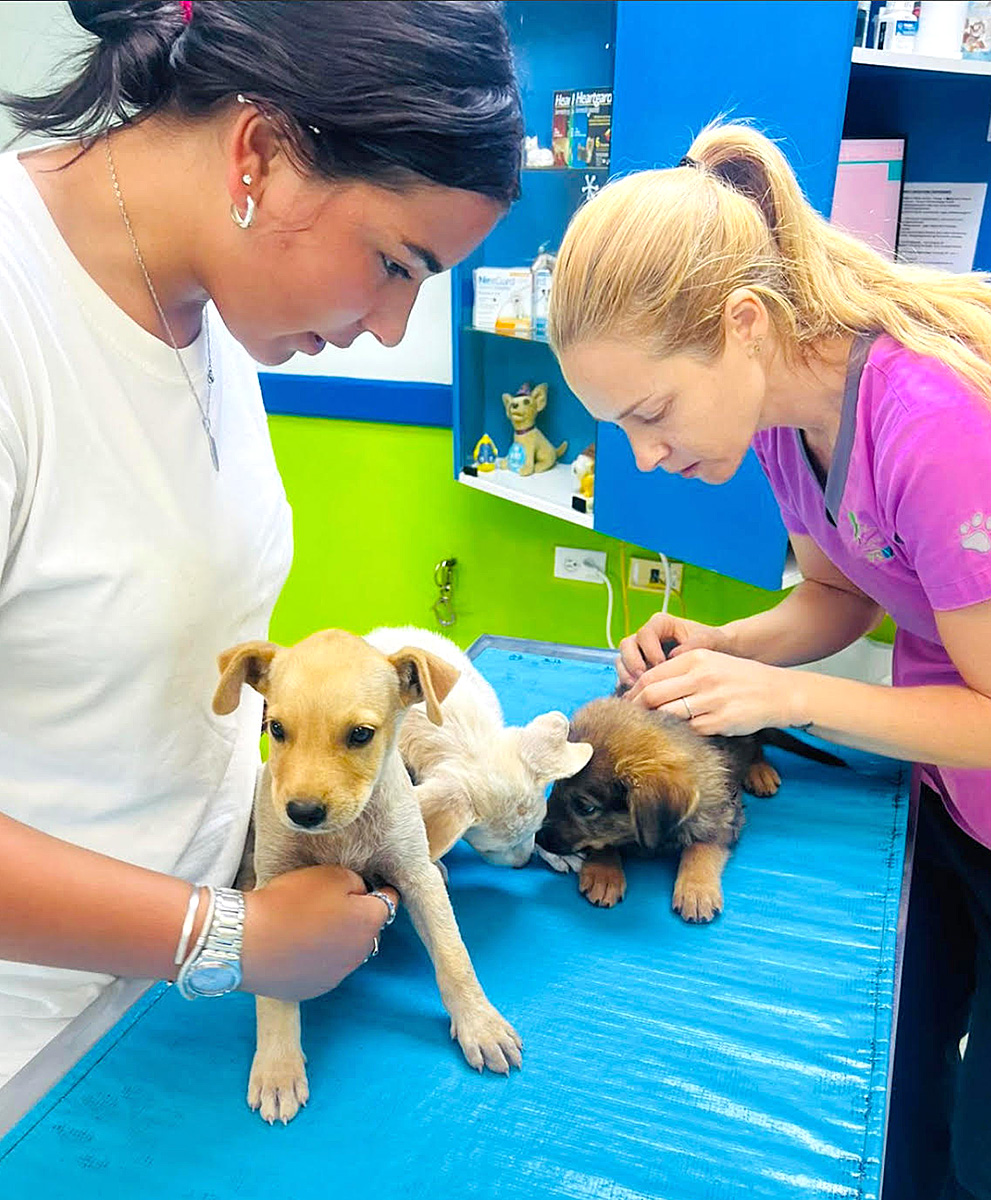 Entrevista cu Tara van der Werk riba su campaña di concierntizacion