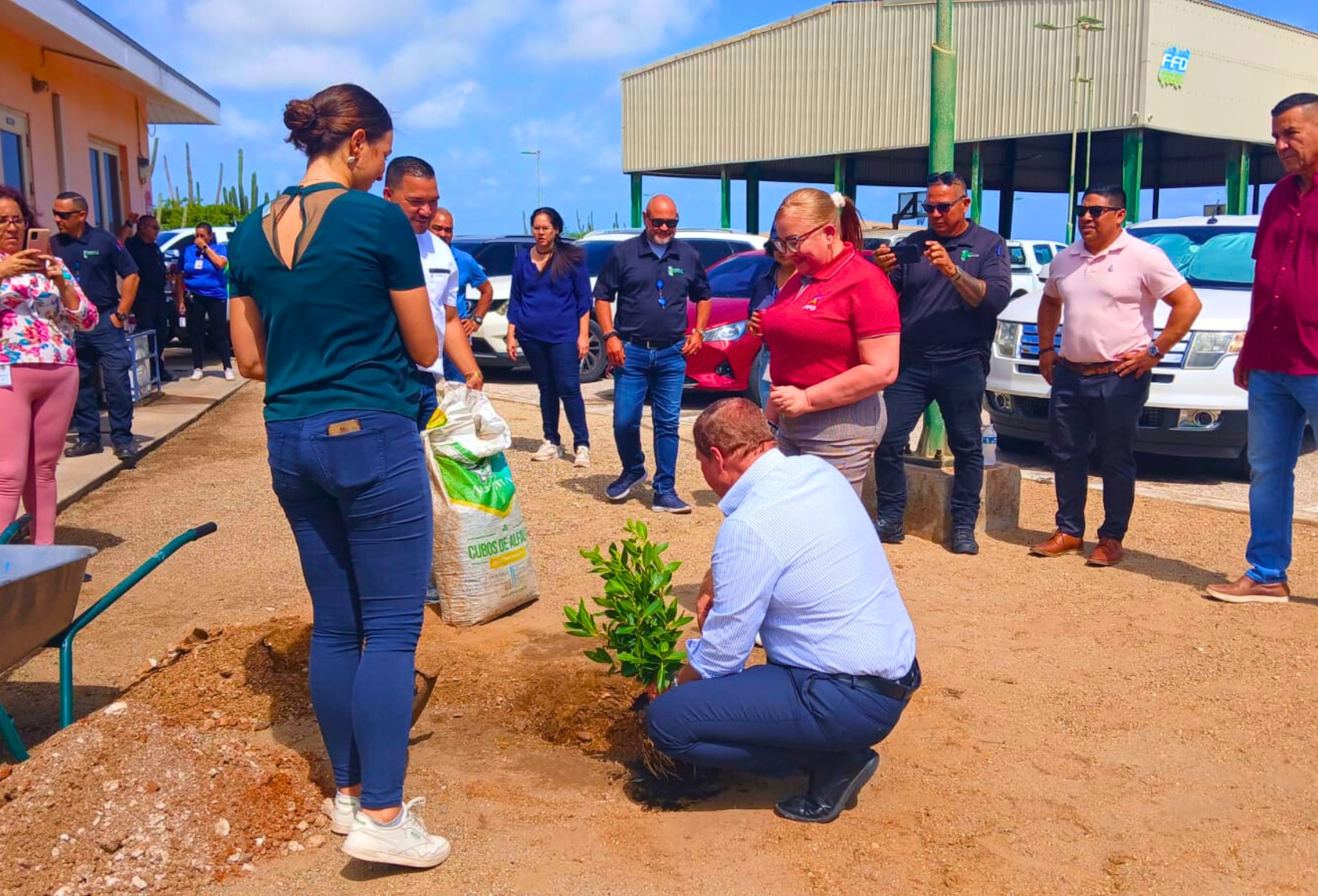 Mata di Fofoti planta na Jaburibari durante Accion di Bario