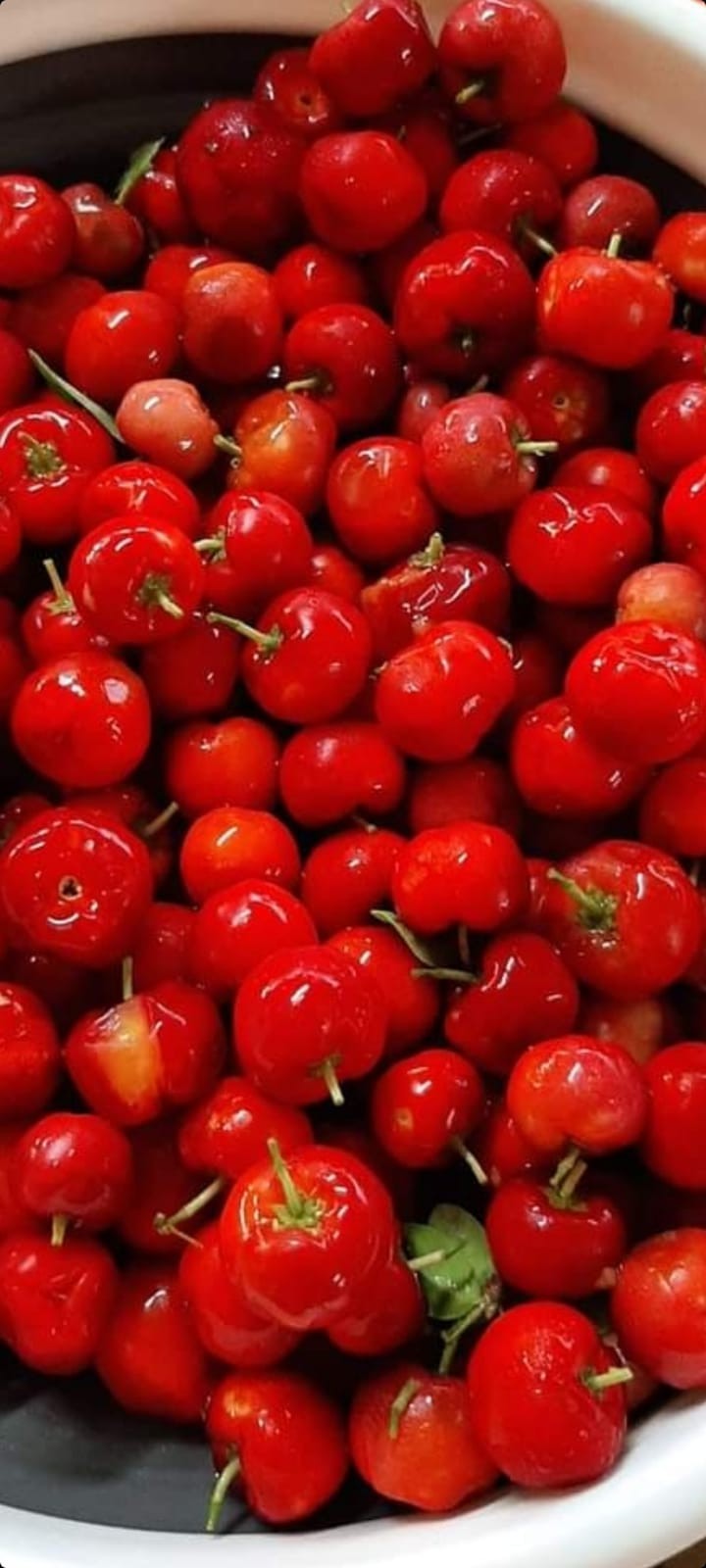 Monton di Shimarucu ya caba creciendo den mondi