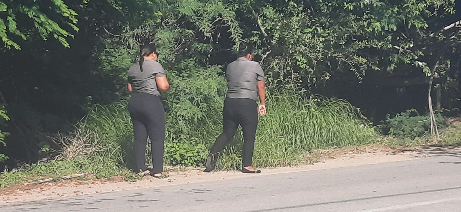 Para auto banda di caminda pa asina recoge Shimarucu