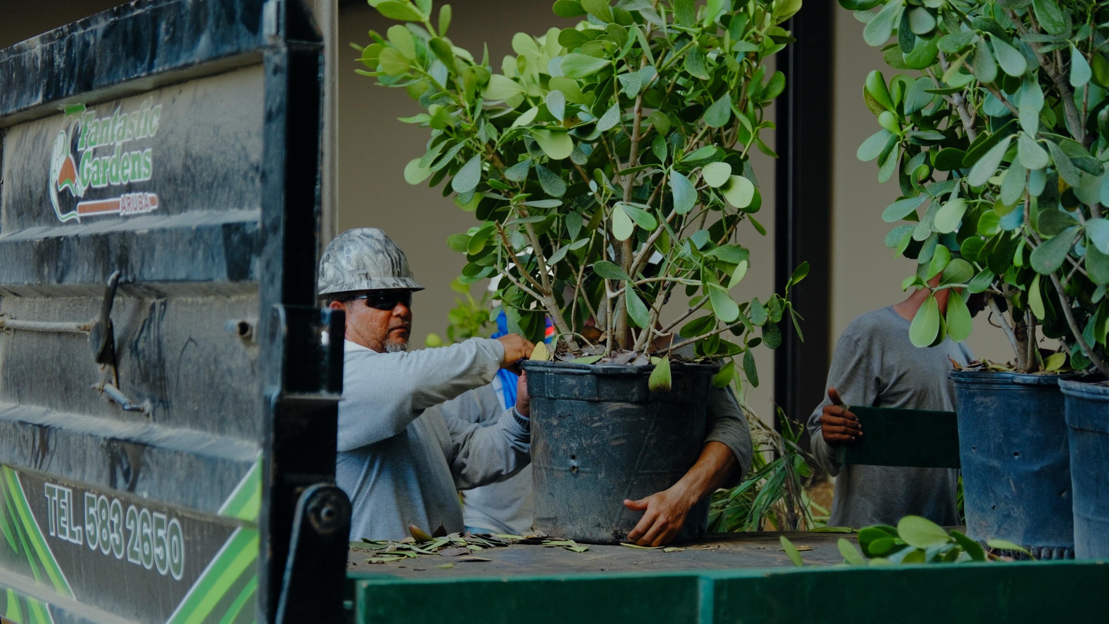 Secrets Baby Beach Hotel ta mas di 99% cla