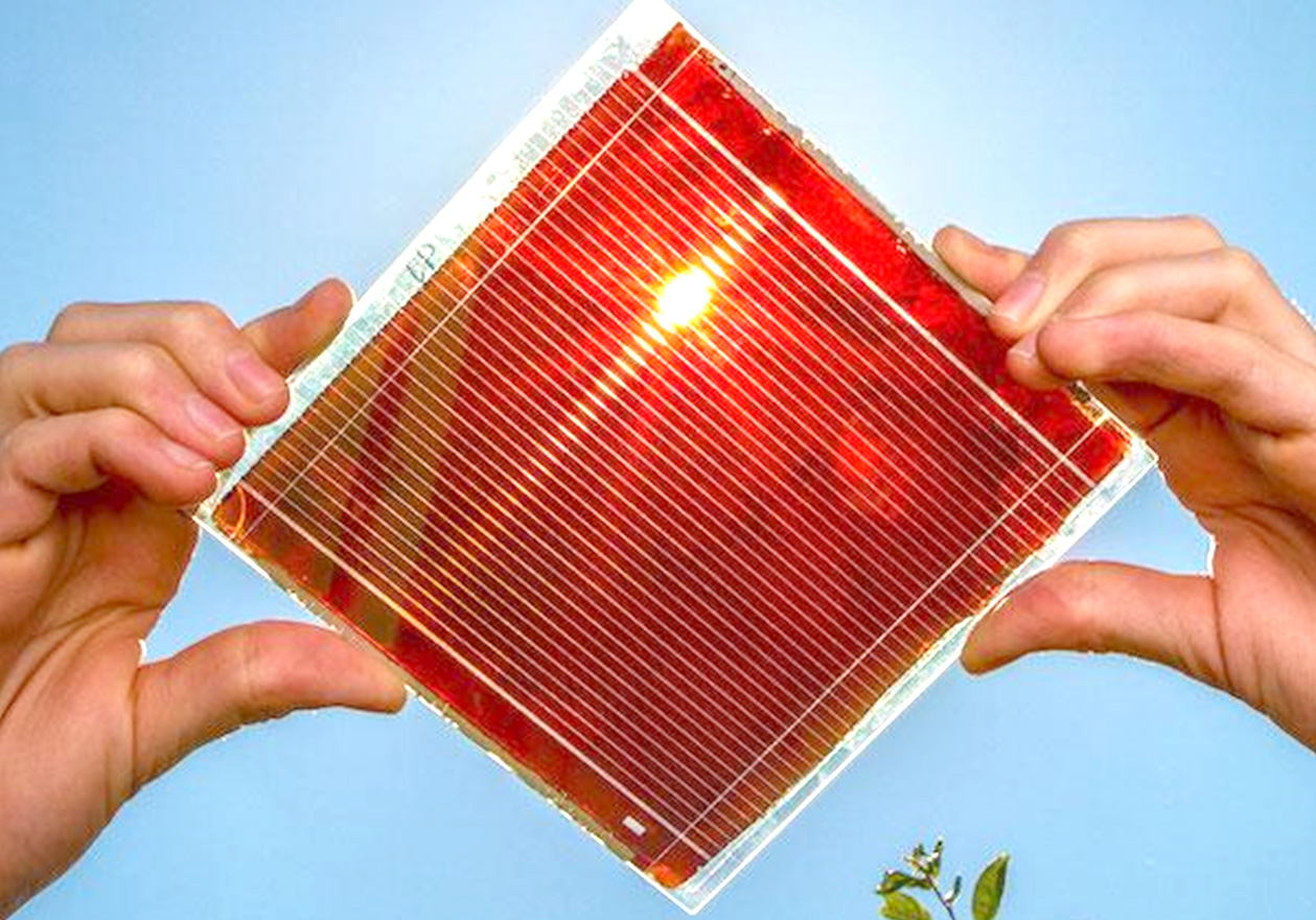 Simon Waslander ta cuestiona unda Energia Solar a keda den Policy di ...