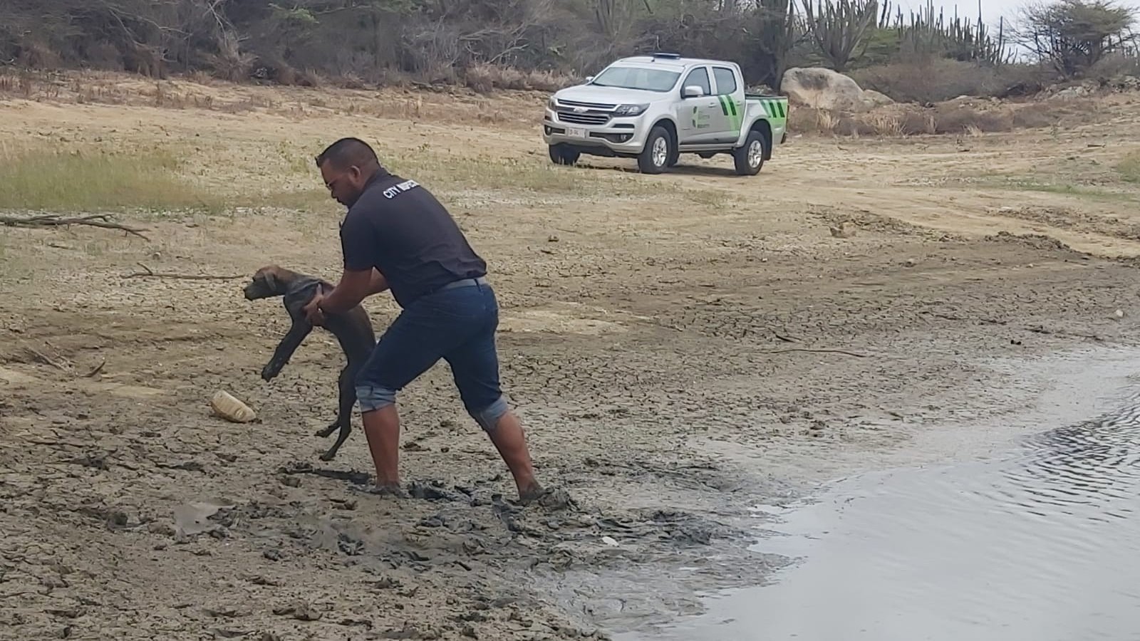 Varios City Inspector balente a rescata cacho pega den lodo di Dam