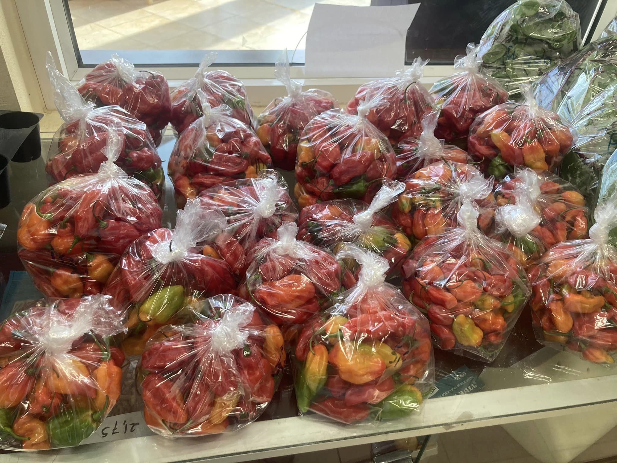 Varios hende a probecha di Pop Up Market di Santa Rosa