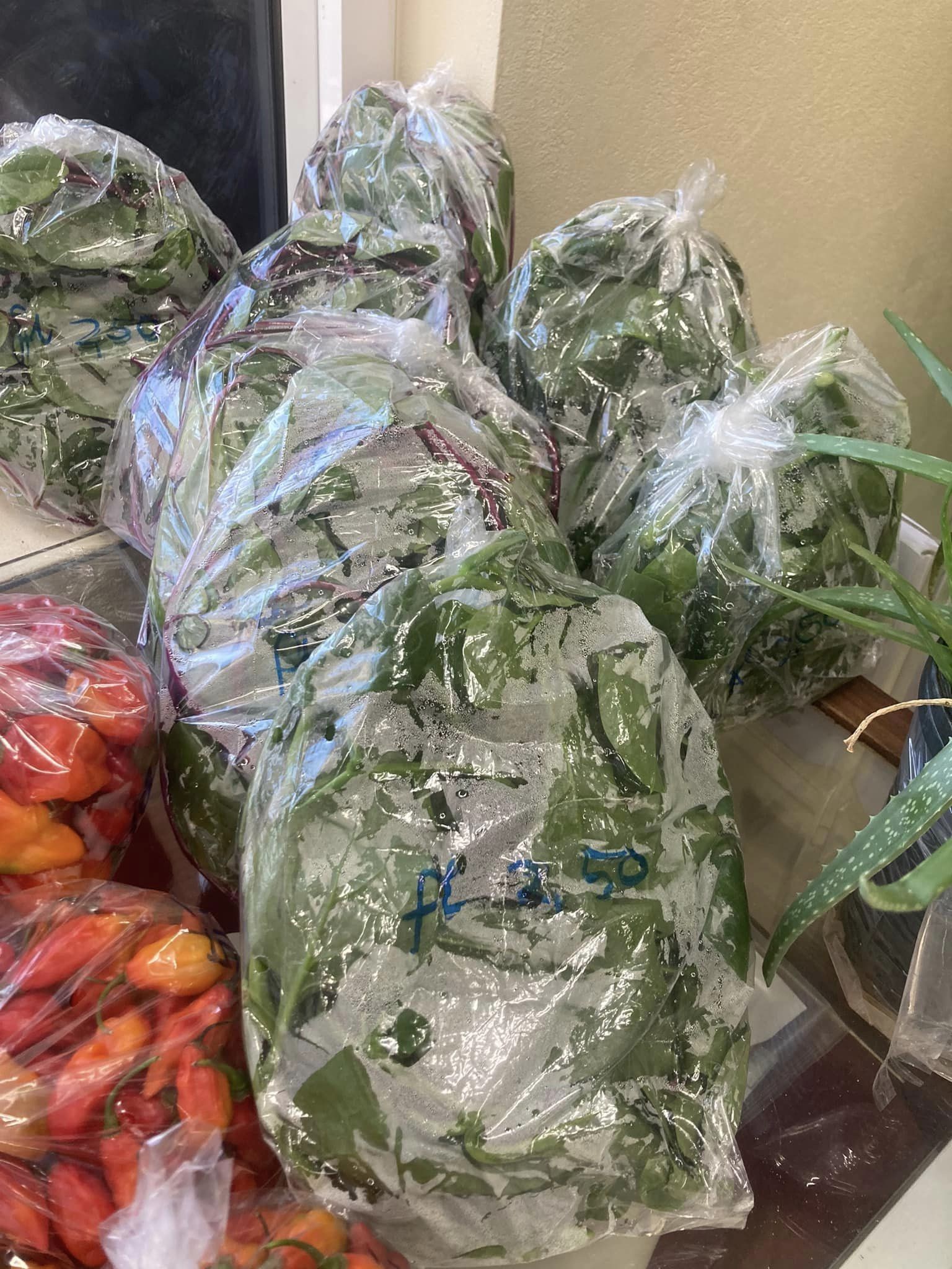 Varios hende a probecha di Pop Up Market di Santa Rosa